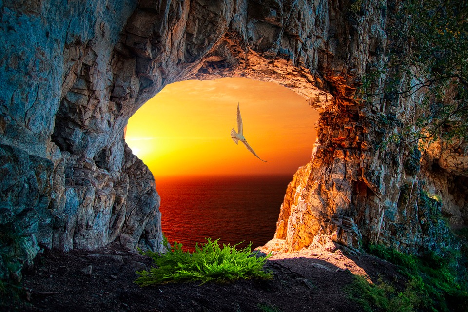 Understanding Variable Insurance Trusts: A Comprehensive Guide to ...